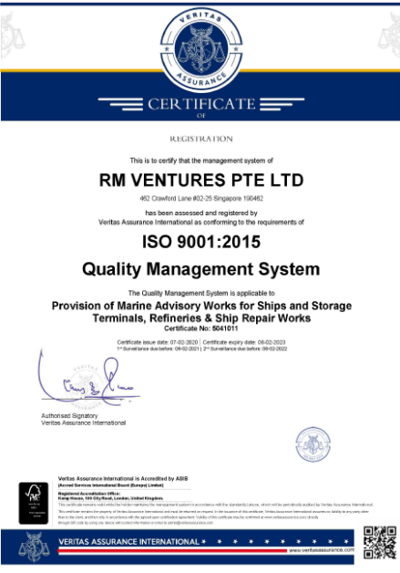 About RM Venture | Group of Companies | Empowered Solutions | Singapore | USA | Vietnam | India